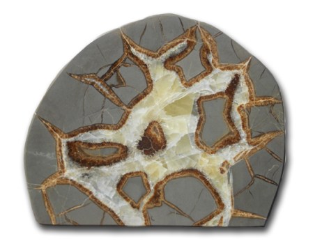 Septarian nodule (concretion) | Central Dakota Gem & Mineral Society